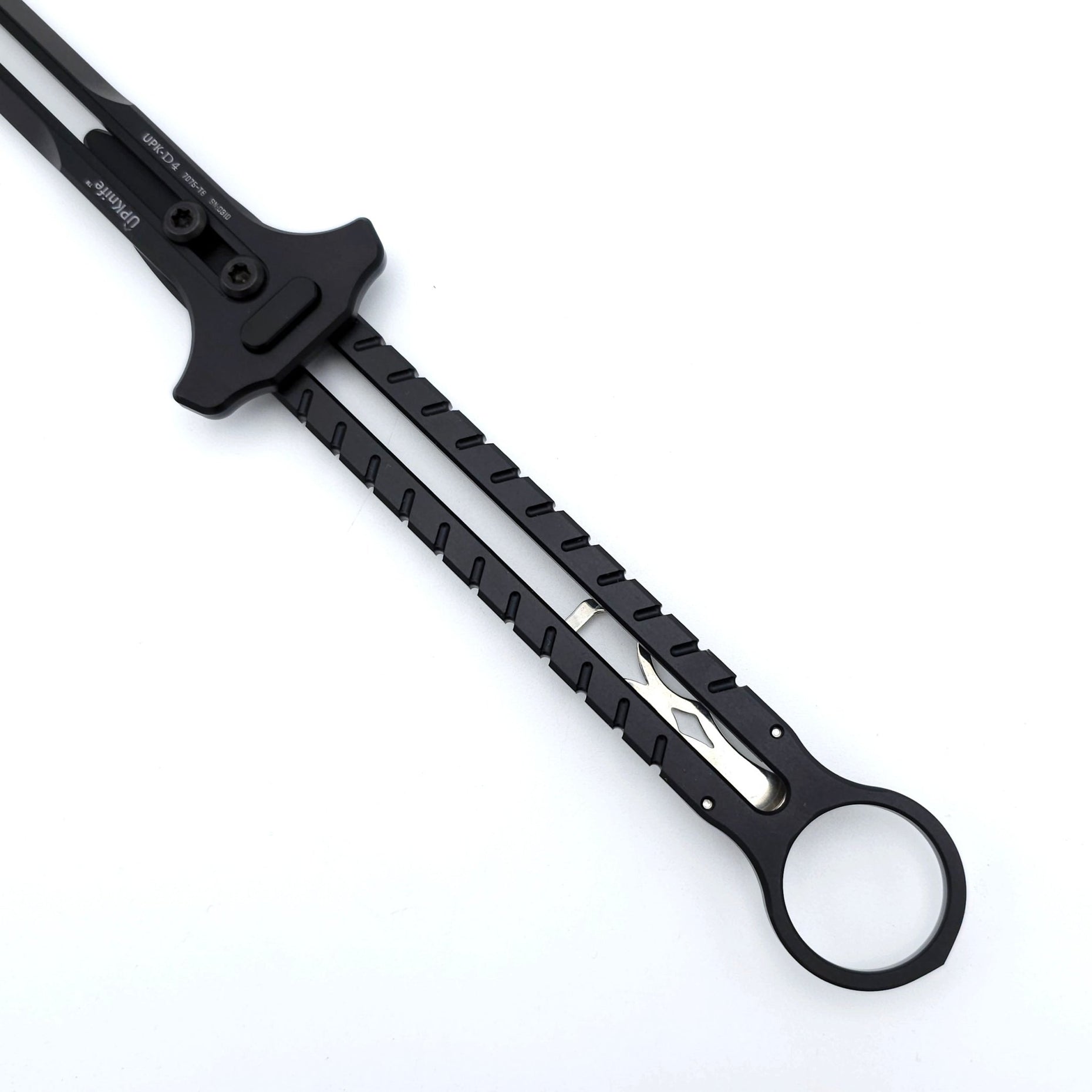 UPK-D4 Eclipse Ring2 AL